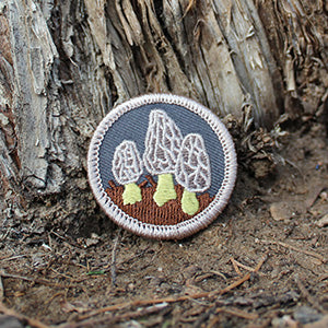 The Demerit Badge Company | Spoof Merit Badges & Outdoors Patches ...