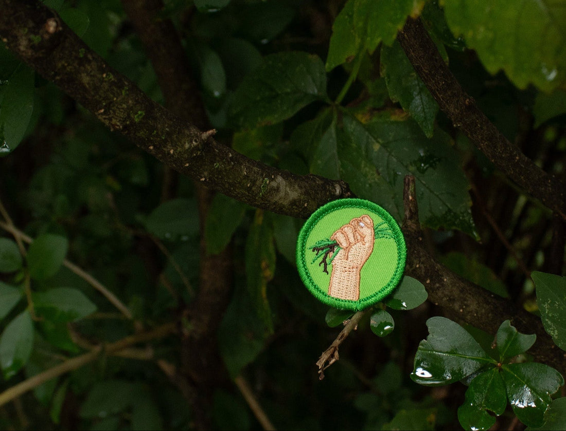 The Demerit Badge Company | Spoof Merit Badges & Outdoors Patches ...