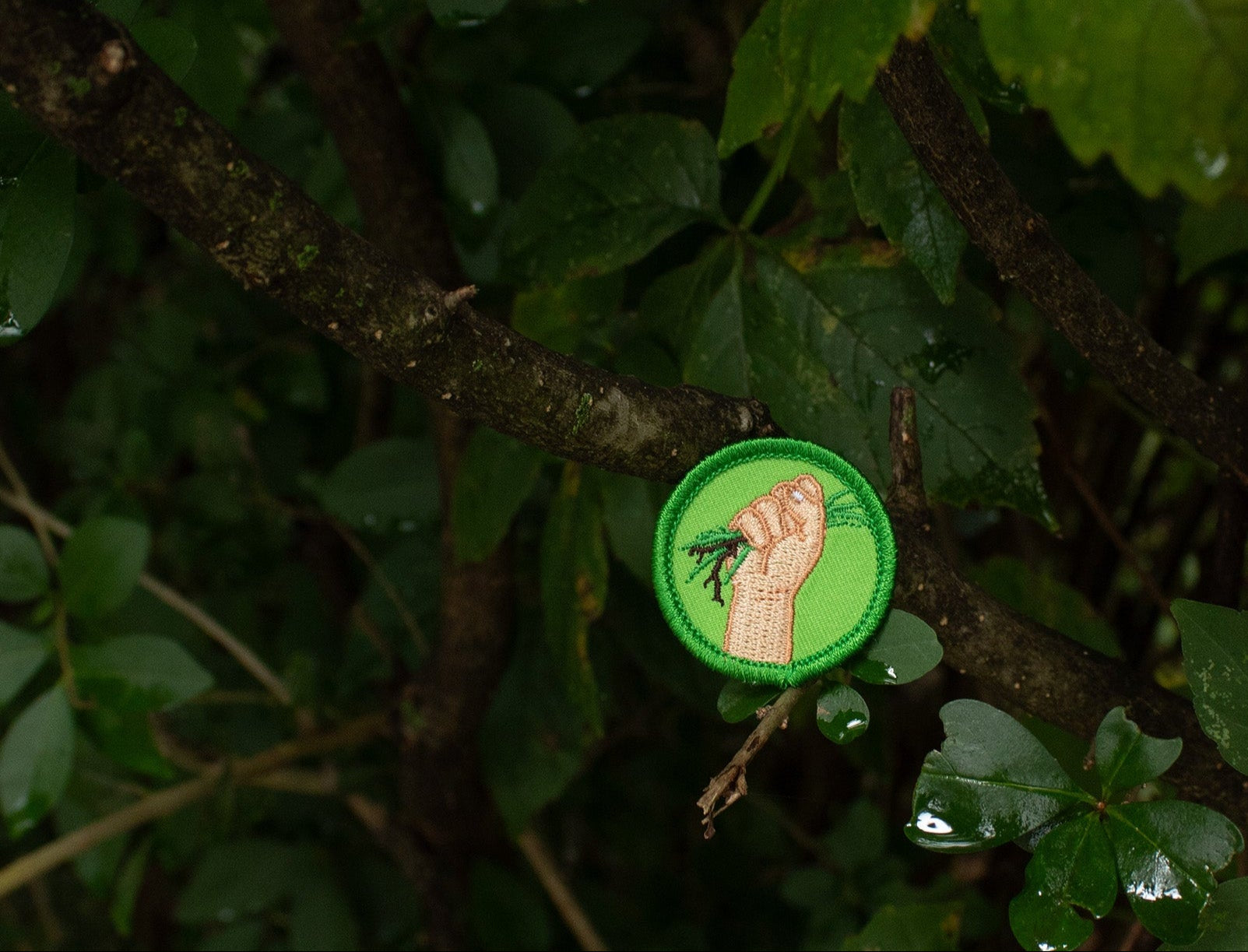 The Demerit Badge Company | Spoof Merit Badges & Outdoors Patches ...