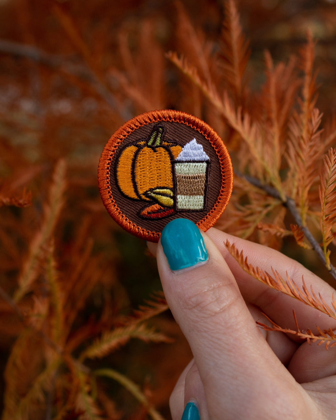 The Demerit Badge Company | Spoof Merit Badges & Outdoors Patches ...